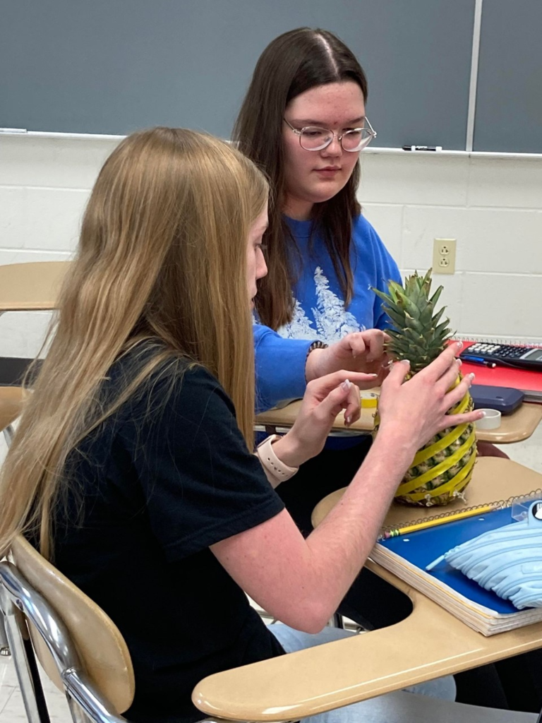 Live Feed | Pendleton County Middle / High School